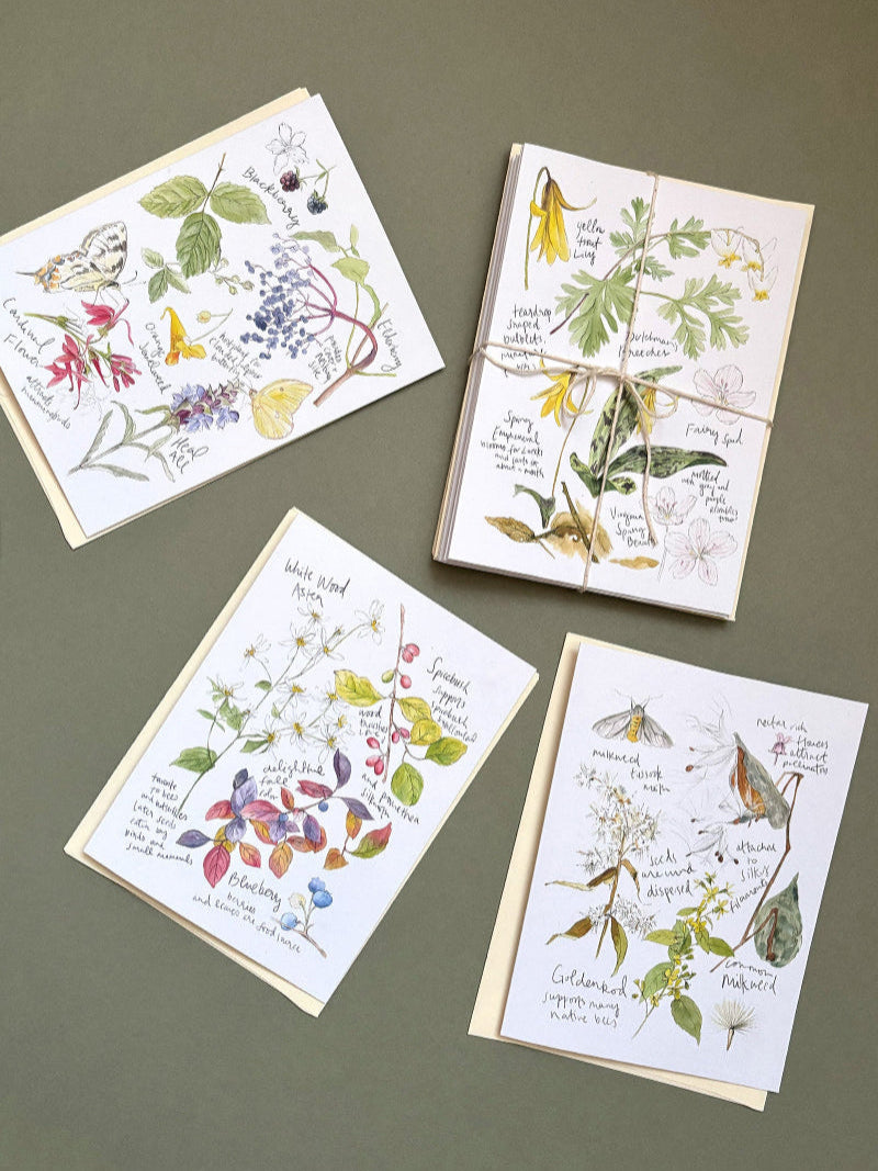 Botanical Drift – Jackie Small