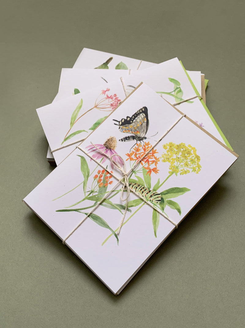 Swallowtails – Jackie Small